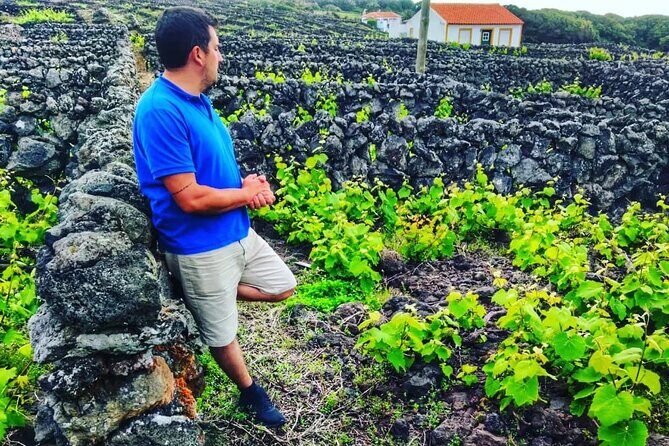 Terceira Island full day tour - An In-Depth Look at the Terceira Island Full Day Tour
