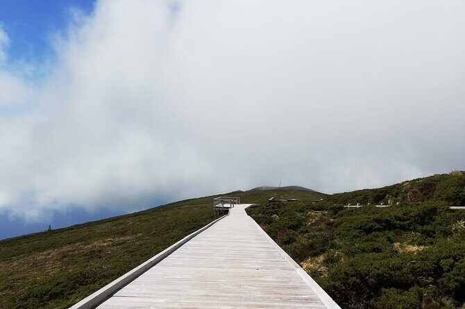 Terceira Island full day tour - FAQs