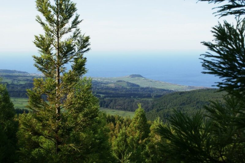 Terceira Island: Half-Day 4X4 Tour - An In-Depth Look at the Experience