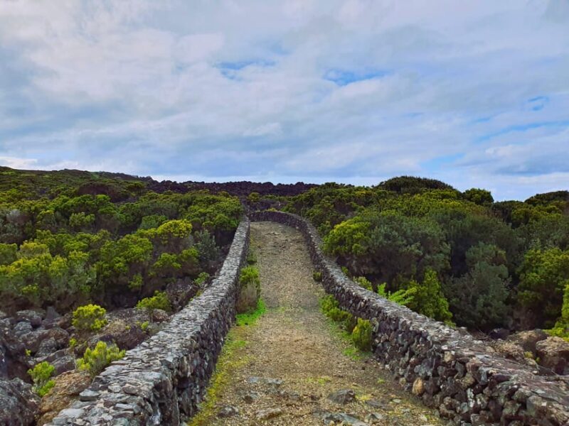 Terceira Island Half Day Hiking Trail: Baías da Agualva - Key Points