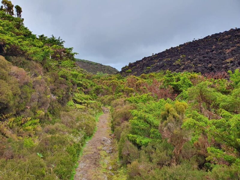 Terceira Island Half Day Hiking Trail: Mistérios Negros - Discovering the Charm of the Mistérios Negros Trail