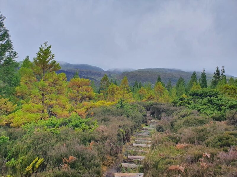 Terceira Island Half Day Hiking Trail: Mistérios Negros - What the Tour Includes and Practical Details