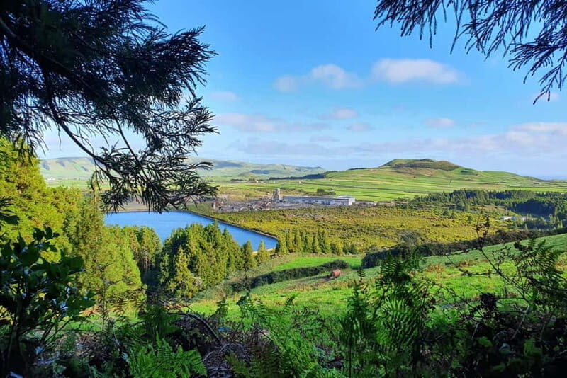 Terceira Island: Half-Day Hiking with Cheese Tasting - An In-Depth Look at the Experience
