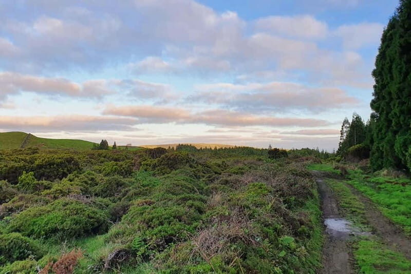 Terceira Island: Half-Day Hiking with Cheese Tasting - Balancing Value and Experience