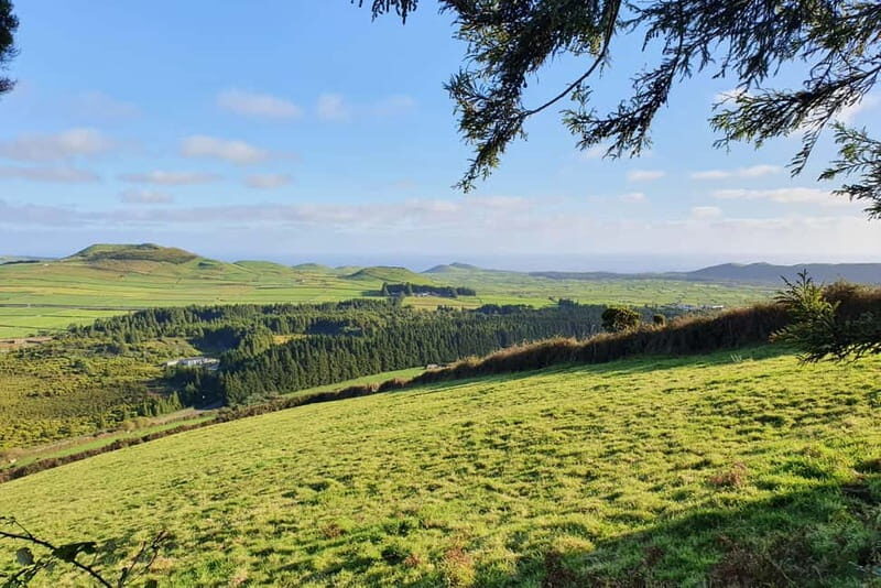 Terceira Island: Half-Day Hiking with Cheese Tasting - Final Thoughts: Why You Should Sign Up