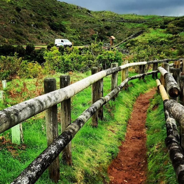 Terceira Island : Half-Day Van Tour to the Caves - The Practicalities