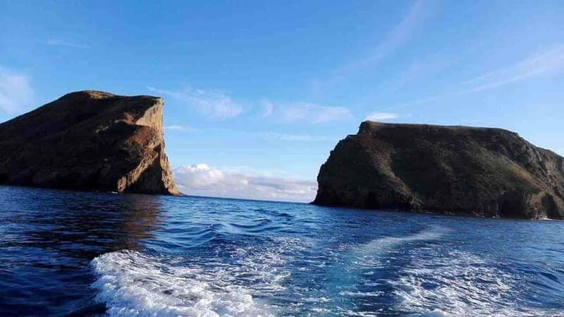 Terceira Island: Ilhéu das Cabras Boat Tour + Snorkeling - Final Thoughts