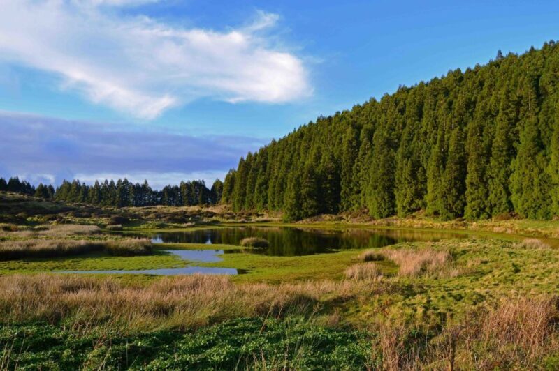 Terceira Island: Mistérios Negros Hiking - FAQ