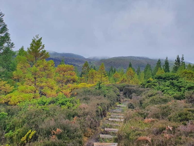 Terceira Island: Mistérios Negros & Mist. Novo Hike w/picnic - Key Points