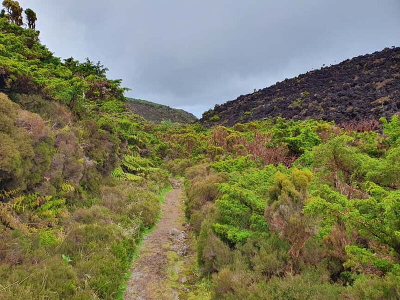 Terceira Island: Mistérios Negros & Mist. Novo Hike w/picnic - Why Choose the Mistérios Negros & Mistério Novo Hike?