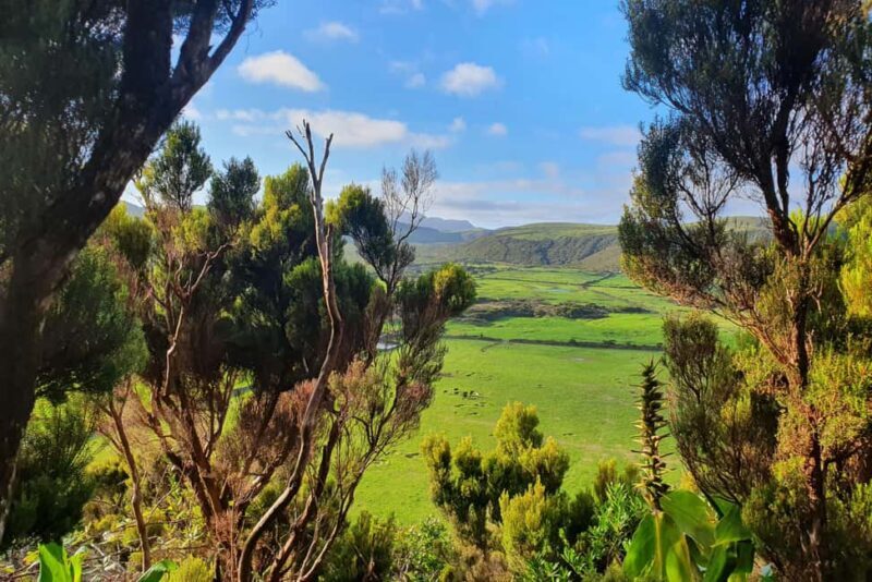 Terceira Island: Passagem das Bestas Hike w/Cheese Tasting - Final Thoughts