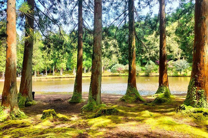 Terceira Island Private Full-Day Slow Tour with Lunch and Pickup - The Itinerary Breakdown