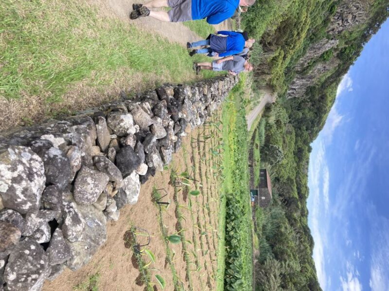 Terceira Island Scenic Hiking Trails Tour (Shared Tour) - FAQs