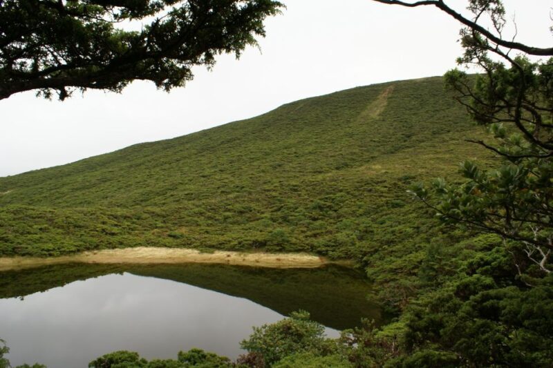 Terceira Island: Walking Trails Hiking Tour - The Price and Its Value