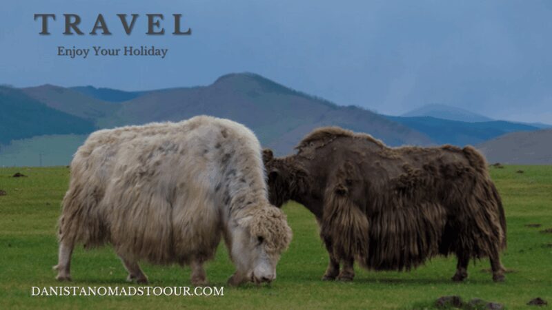 Terelj ,Khar khorum ,Horse ride , Camel ride , Monastery - FAQ