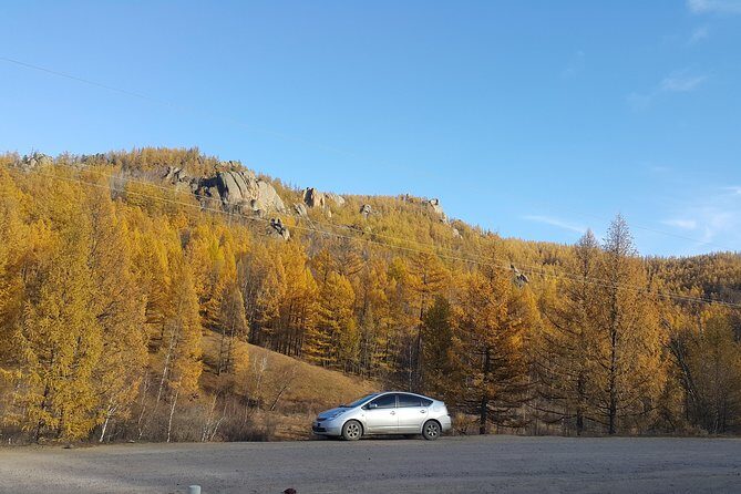 Terelj Private day trip - In-Depth Look at the Tour Experience