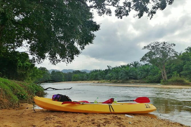 Terengganu Wildlife Kayak Tour - The Experience in Detail