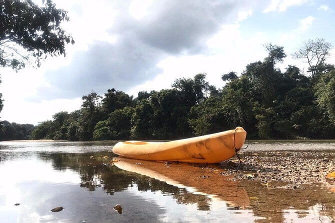 Terengganu Wildlife Kayak Tour - Who Will Love This Tour?