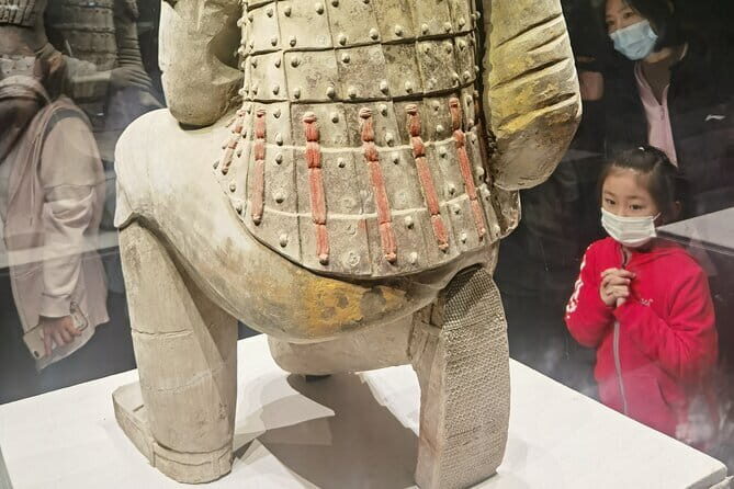 Terra cotta Army Museum English-speaking Guide Service - A Closer Look at the Tour Experience