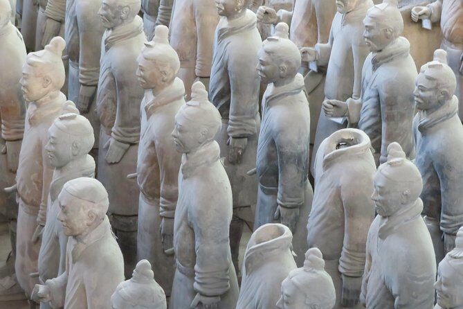 Terra Cotta Army Museum Tour with Noodle / Dumpling Making Class - A Detailed Look at the Experience