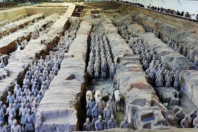 Terra-cotta Warriors Entrance Ticket with Optional Guided Service - Value for Money