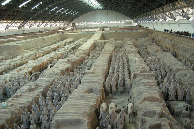 Terra-cotta Warriors Ticket with Optional Car & Guided Service - Who This Tour Is Best For