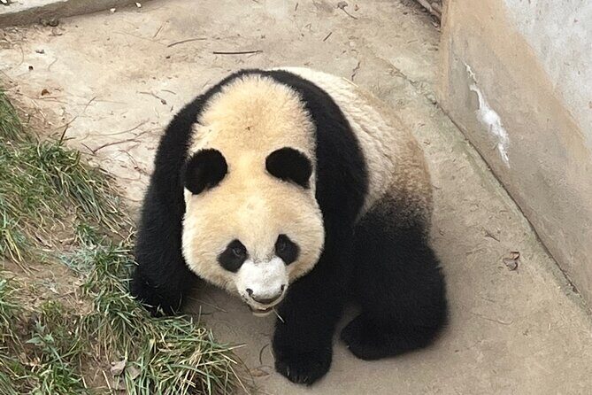 Terracotta Warriors And XiAn DowntownTour - The Itinerary: What to Expect at Each Stop