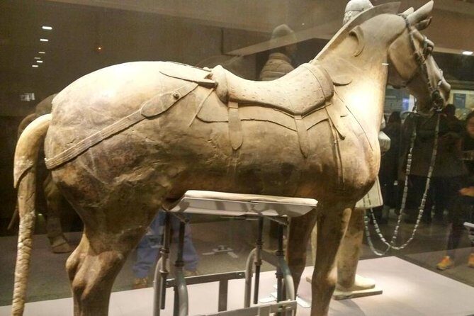 Terracotta Warriors Museum Tour with Airport Pickup or Drop-off Transfer - Cost and Value Analysis