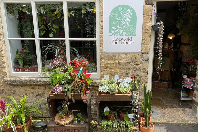 Terrarium Making Experience in Cirencester - Key Points