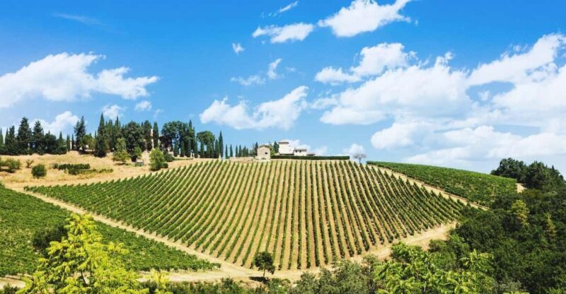 Terricciola Valdera E-Bike Tour + Wine Tasting, Photo Shoot - An In-Depth Look at the Tour Experience