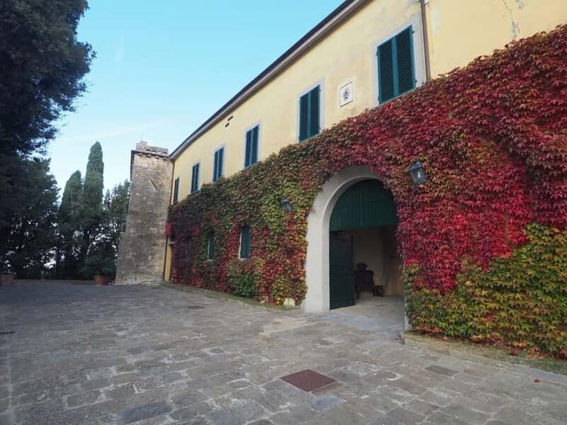 Terricciola:Abbey Tour,Wine Tasting & Tuscan Lunch Near Pisa - Key Points