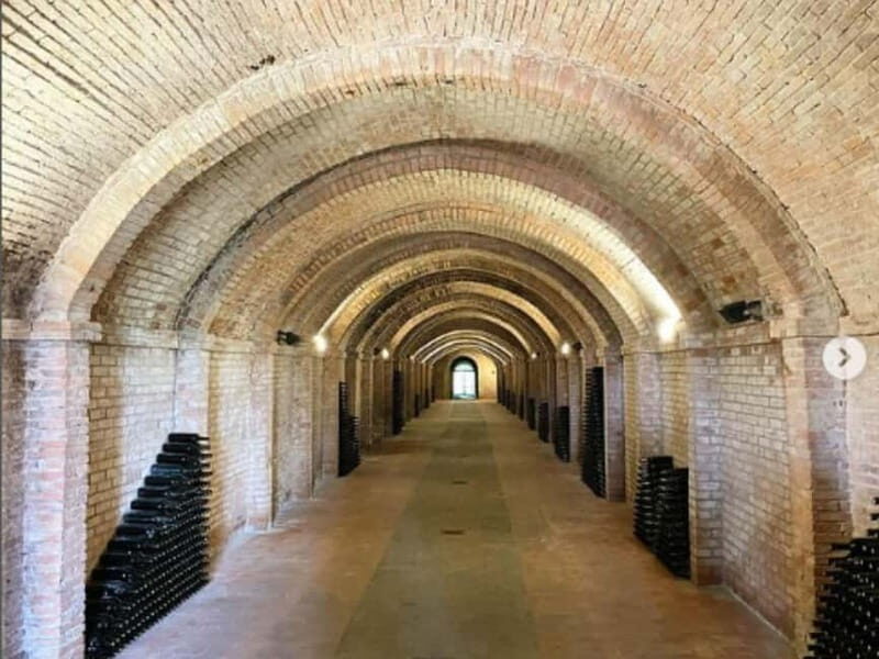 Terricciola:Abbey Tour,Wine Tasting & Tuscan Lunch Near Pisa - Practical Tips for Travelers