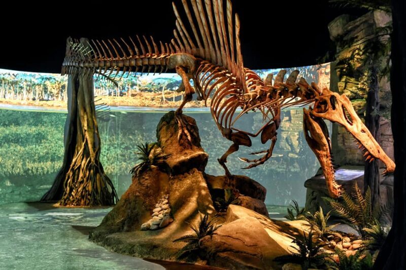 Teruel : Dinopólis Entry ticket - What You Can Expect at Dinopolis Teruel