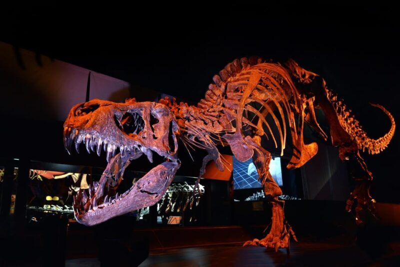 Teruel : Dinopólis Entry ticket - Authentic Experiences and Authentic Reviews