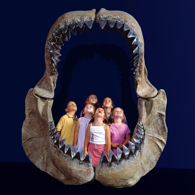 Teruel : Dinopólis Entry ticket - Practical Tips for Visiting