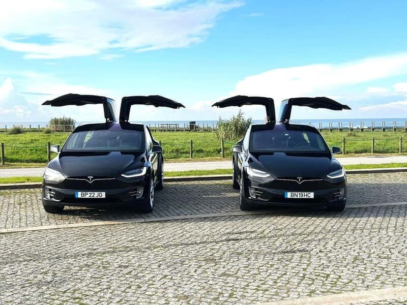 Tesla Premium Private Tours - Porto to Douro Valley - Who Should Consider This Tour?