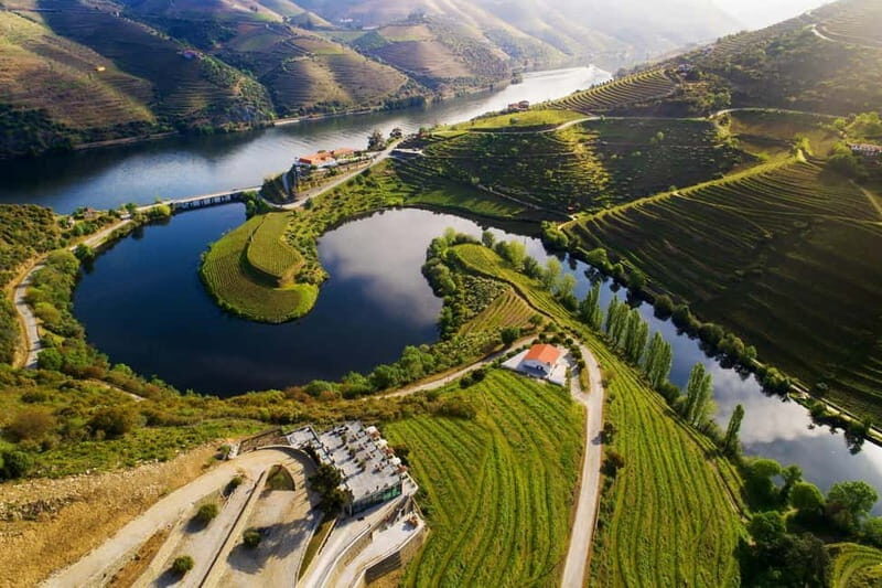 Tesla Premium Private Tours - Porto to Douro Valley - Final Thoughts
