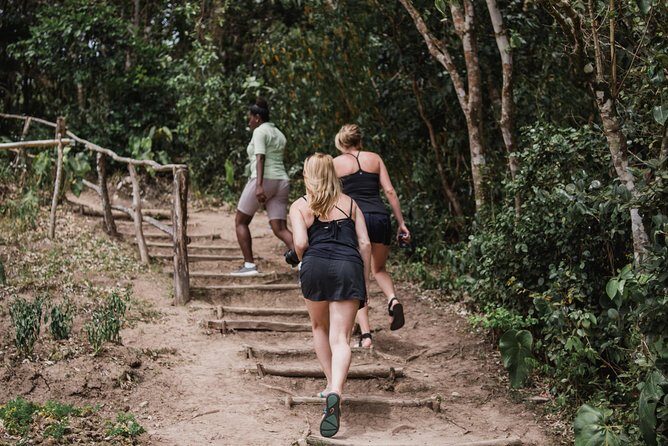 Tet Paul Nature Trail Tour - Transportation, Timing, and Group Size