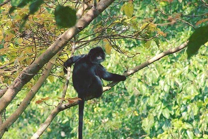 Tete Batu Tour (Temple, Terrace Rice, and Waterfalls) - A Deep Dive into the Tete Batu Tour Experience
