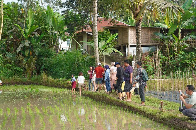Tete Batu Tour (Temple, Terrace Rice, and Waterfalls) - Who Will Appreciate This Tour?