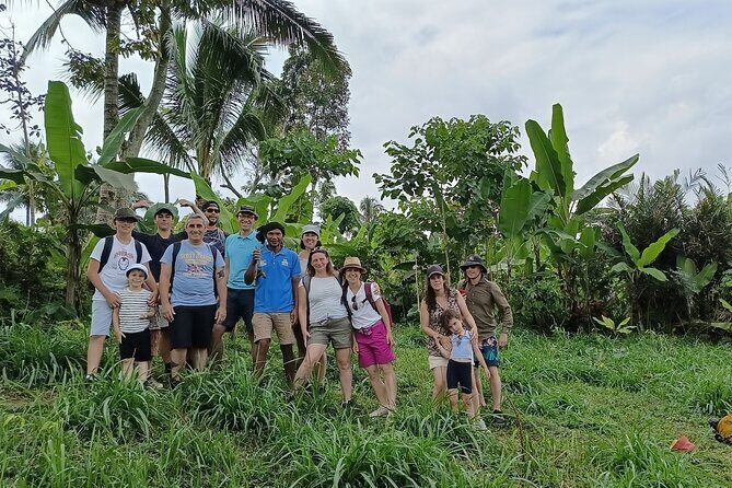 Tetebatu Guided Tour in Rice Terraces Waterfall and Monkey Forest - Discovering the Heart of Lombok: What the Tour Entails