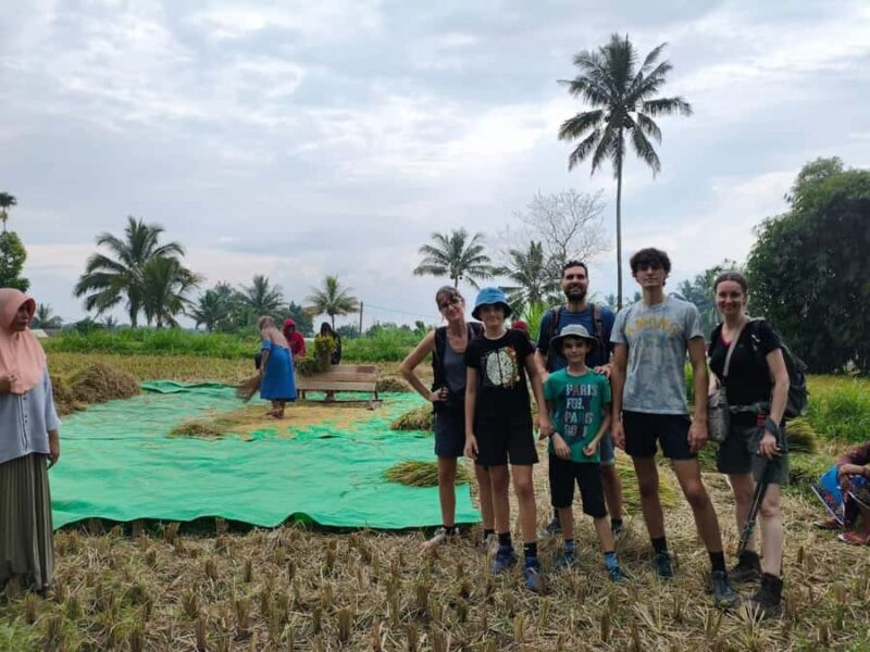 Tetebatu Panorama Walk: Rice Fields, Waterfall & Monkeys - Key Points