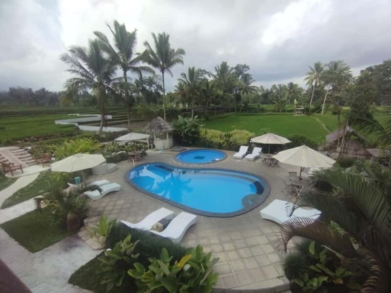 Tetebatu : Ricefield tour,waterfall and monkey forest - Key Points