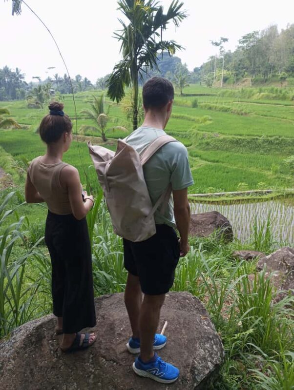 Tetebatu & Ricefield, Waterfall, Monkey forest. - An Introduction to the Experience