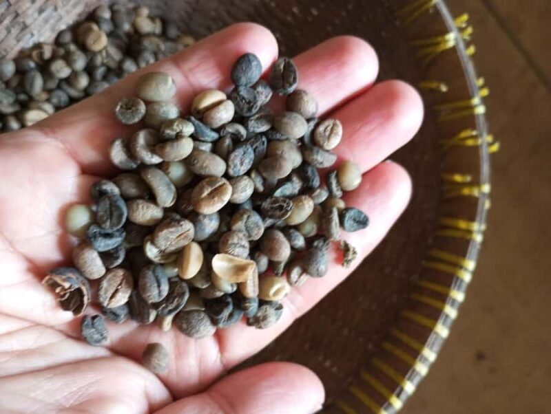 Tetebatu & Ricefield, Waterfall, Monkey forest. - Authenticity and Overall Value