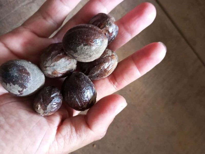 Tetebatu & Ricefield, Waterfall, Monkey forest. - Who Should Consider This Tour