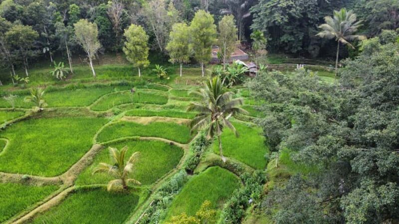 Tetebatu & Ricefield, Waterfall, Monkey forest. - Frequently Asked Questions