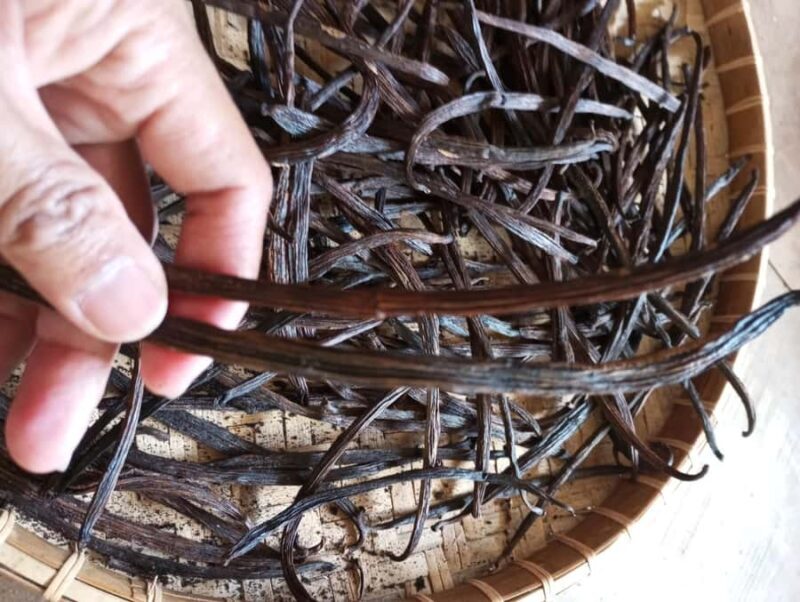 Tetebatu & Ricefield, Waterfall, Monkey forest. - Final Thoughts