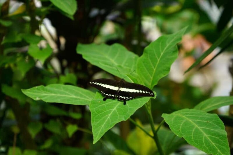 Tetebatu: Sasak Culture & Nature Tour with Weaving & Pottery - An In-Depth Look at the Tetebatu Experience
