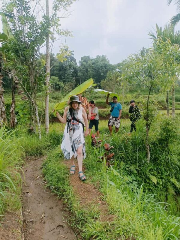 Tetebatu: Waterfalls, Spices, Rice Terrace, Monkey forest - An In-Depth Look at the Tetebatu Tour